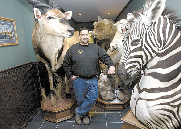 Ethical Issues in Taxidermy: Conservation Efforts and Challenges ...